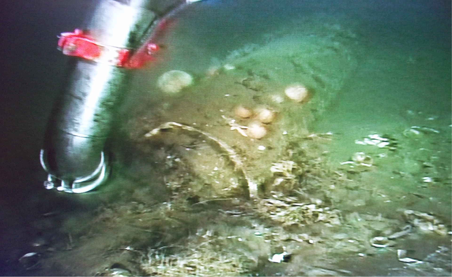 On and Offshore UXO Management - Alpha Marine Services LTD